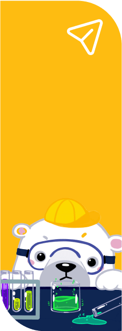 True North International School