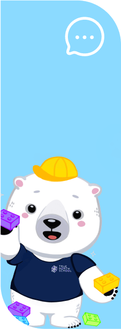 True North International School